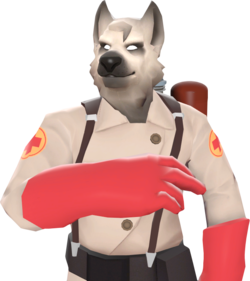 Top 10 anime cosplays. : r/tf2