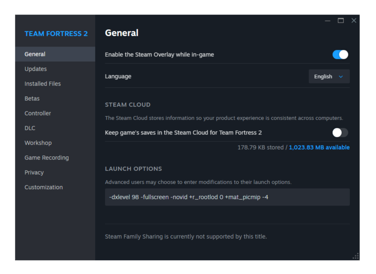 File Launch Options PNG Official TF2 Wiki Official Team Fortress Wiki